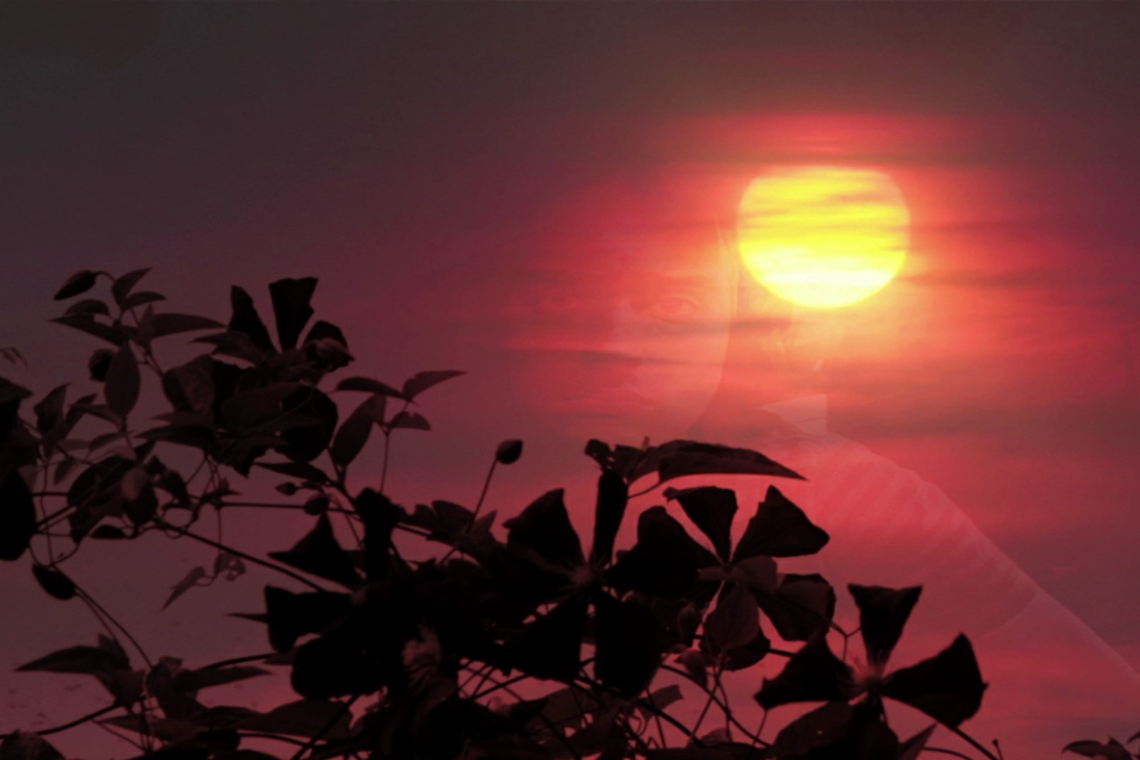 Portfolio | Nathanael Mathieu